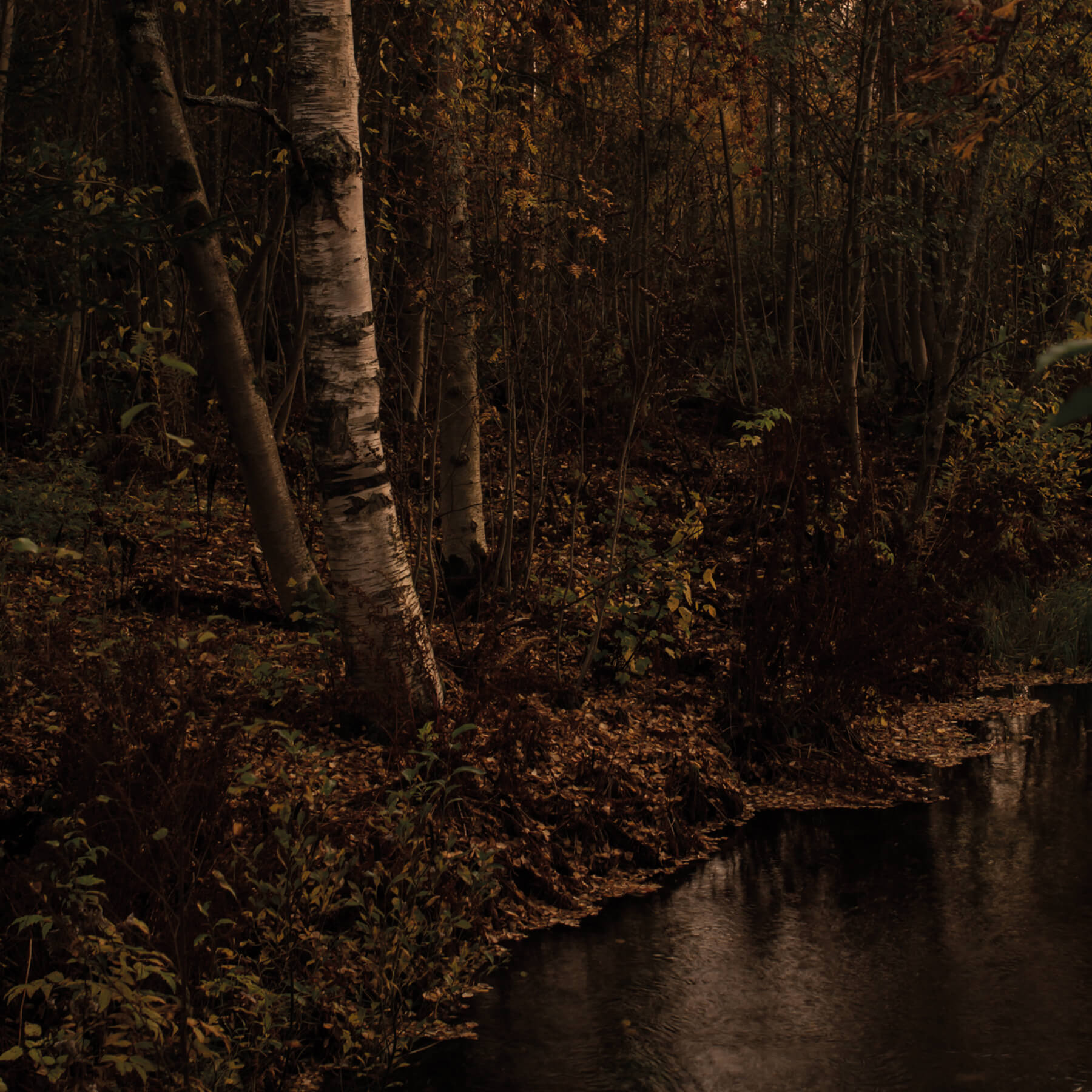 NP136 | Aran - "Pimeyttä Vasten" - Naturmacht Productions