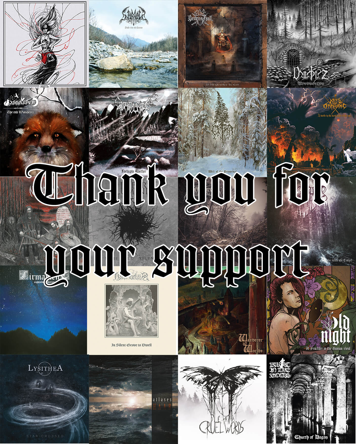 Thank you for a great 2019 - Naturmacht Productions